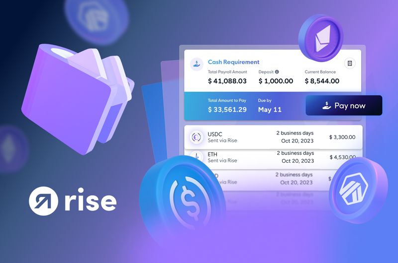 Rise | Top 9 Crypto Payroll Platforms: Complete Comparison Guide